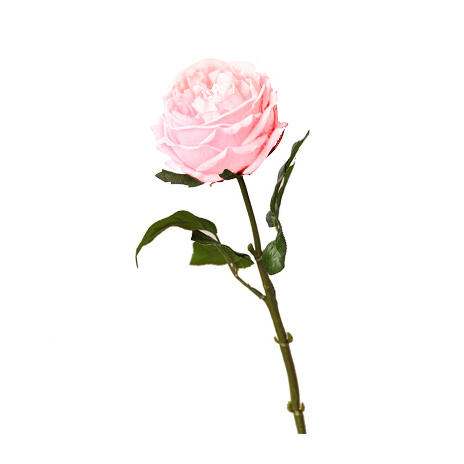 PRINxy 1Pc Artificial Roses Single Stem Fake Silk Flower Arrangement ...