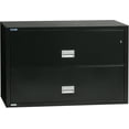 Phoenix Safe International 2 Drawer Lateral File Cabinet Letter & Legal ...
