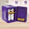 NFL Minnesota Vikings Mini Fridge, Purple, 4L, 6 Cans - Walmart.com