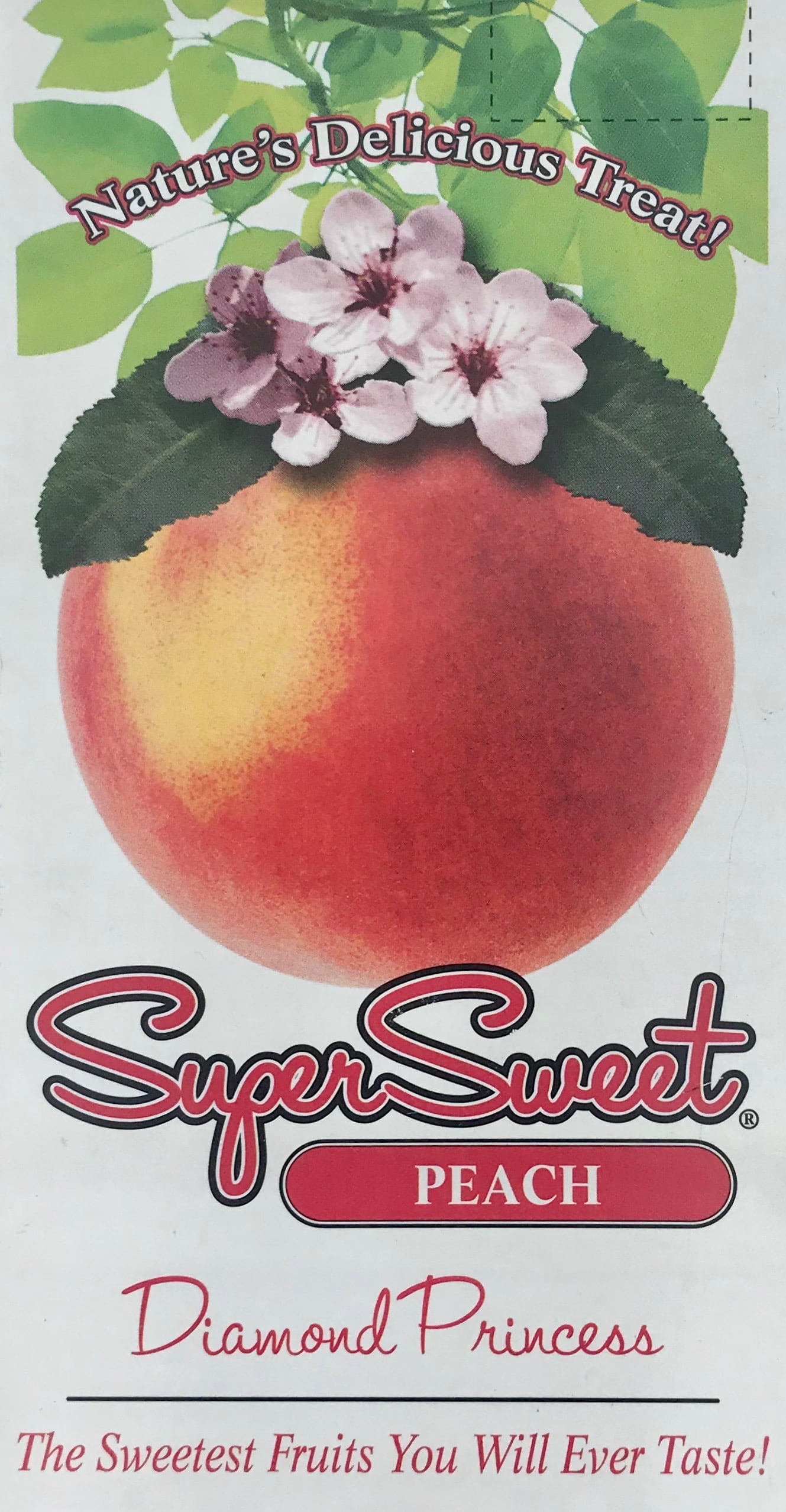 Princess Peach Breast Growth Telegraph