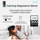 CALMING MAGNESIUM BLEND 300 cápsulas (1000mg por porción) Citrato de ...