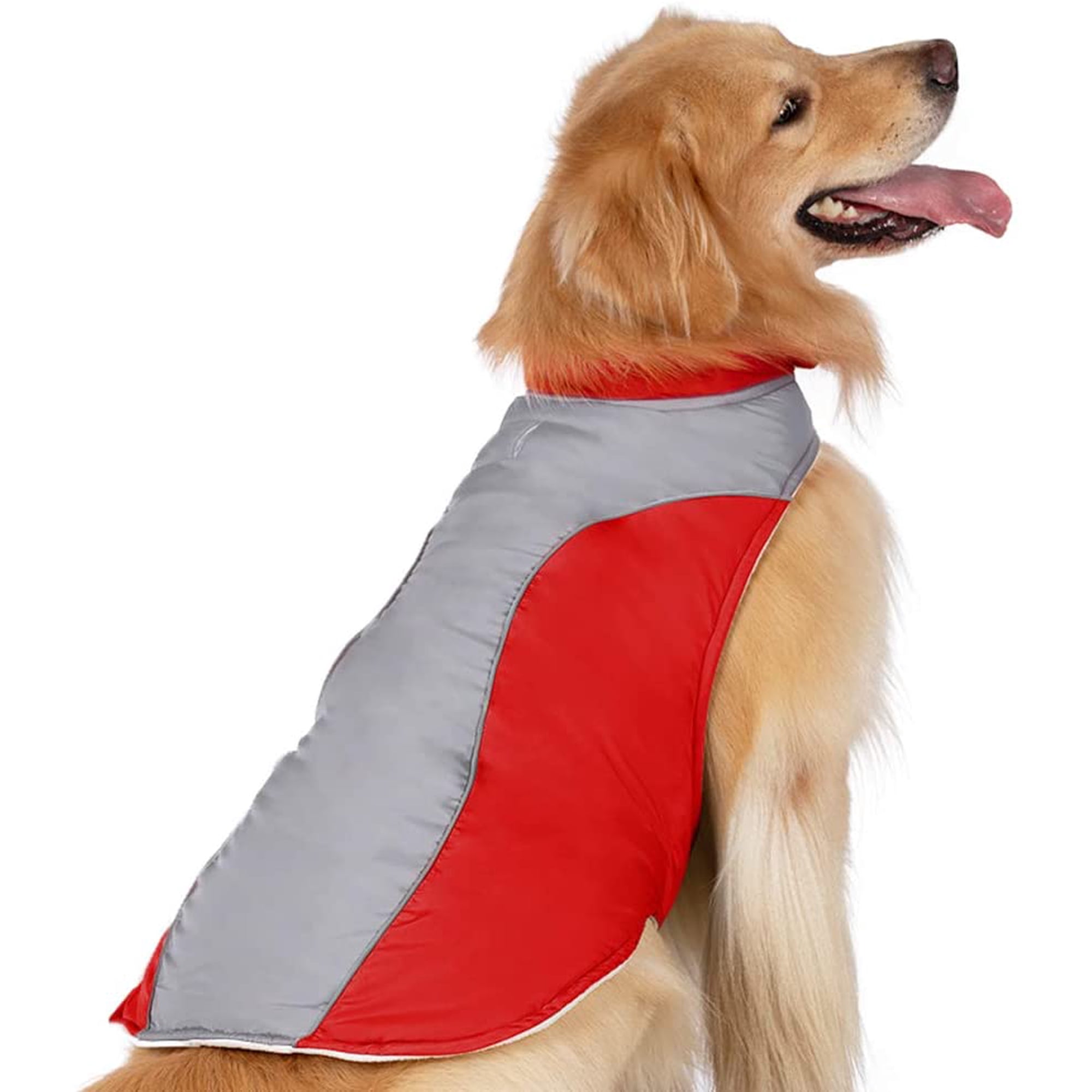 What Do You Fill Dog Holes With