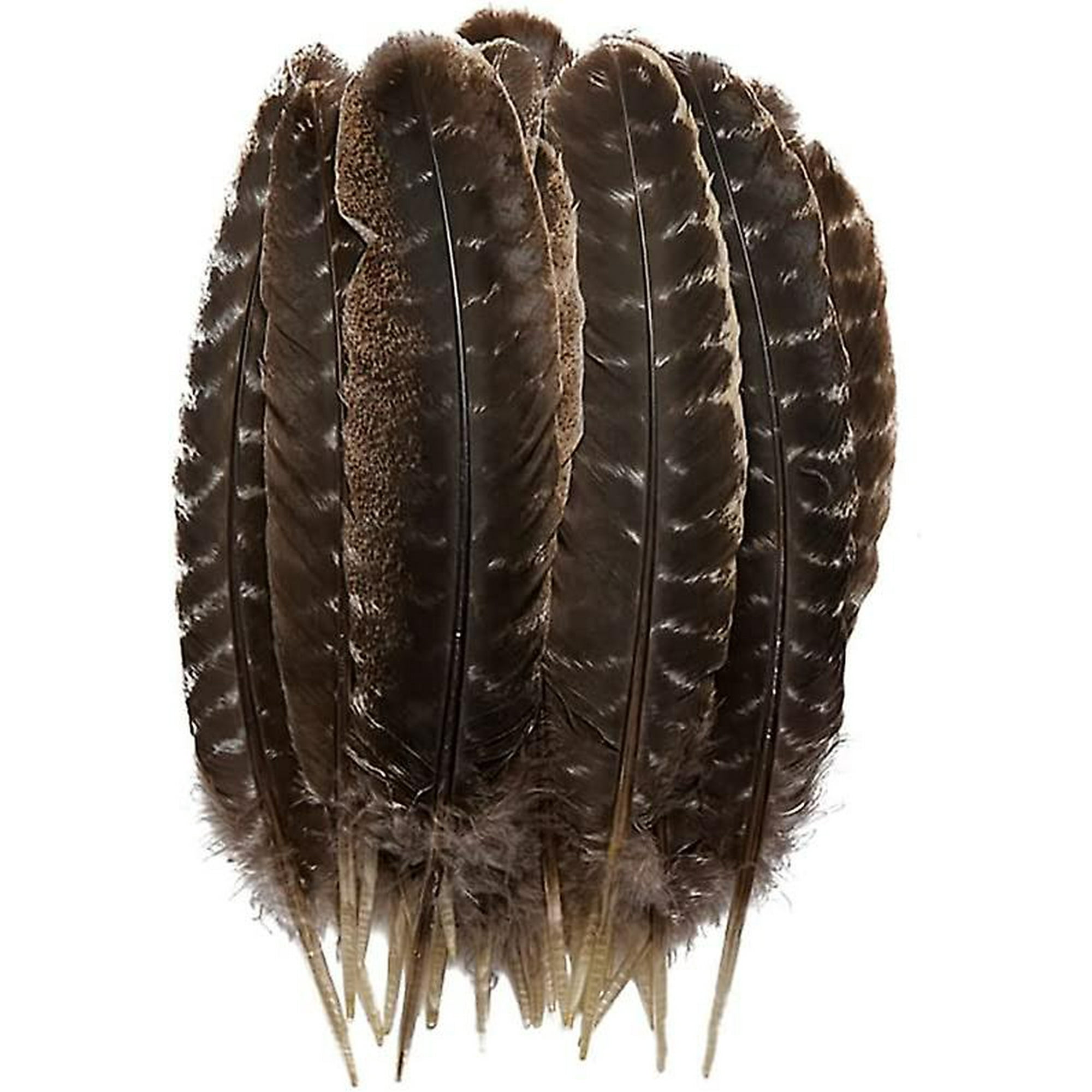 Click here for Unbranded 17cps Natural Turkey Feathers 10-12inch2... prices