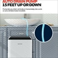 Honeywell 50-Pint ENERGY STAR Dehumidifier with PUMP for 4,000 Sq Ft ...