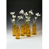 Serene Spaces Living Set of 6 Large Amber Bud Vases, 6.5" Tall & 2 ...