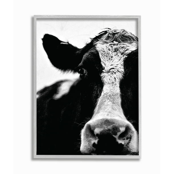Stupell Industries Cow Black And White Close Up Framed Wall Art by ...