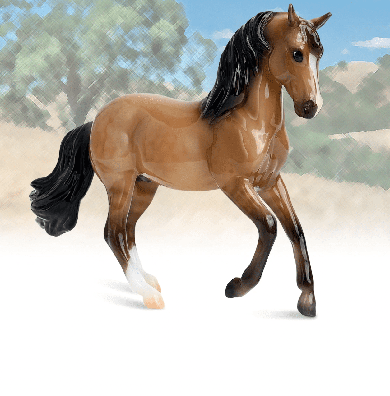 Buckskin Morgan Horse