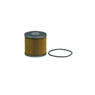 Rx Clear Replacement Lateral for 16" / 19" / 22" Sand Filters - Single ...