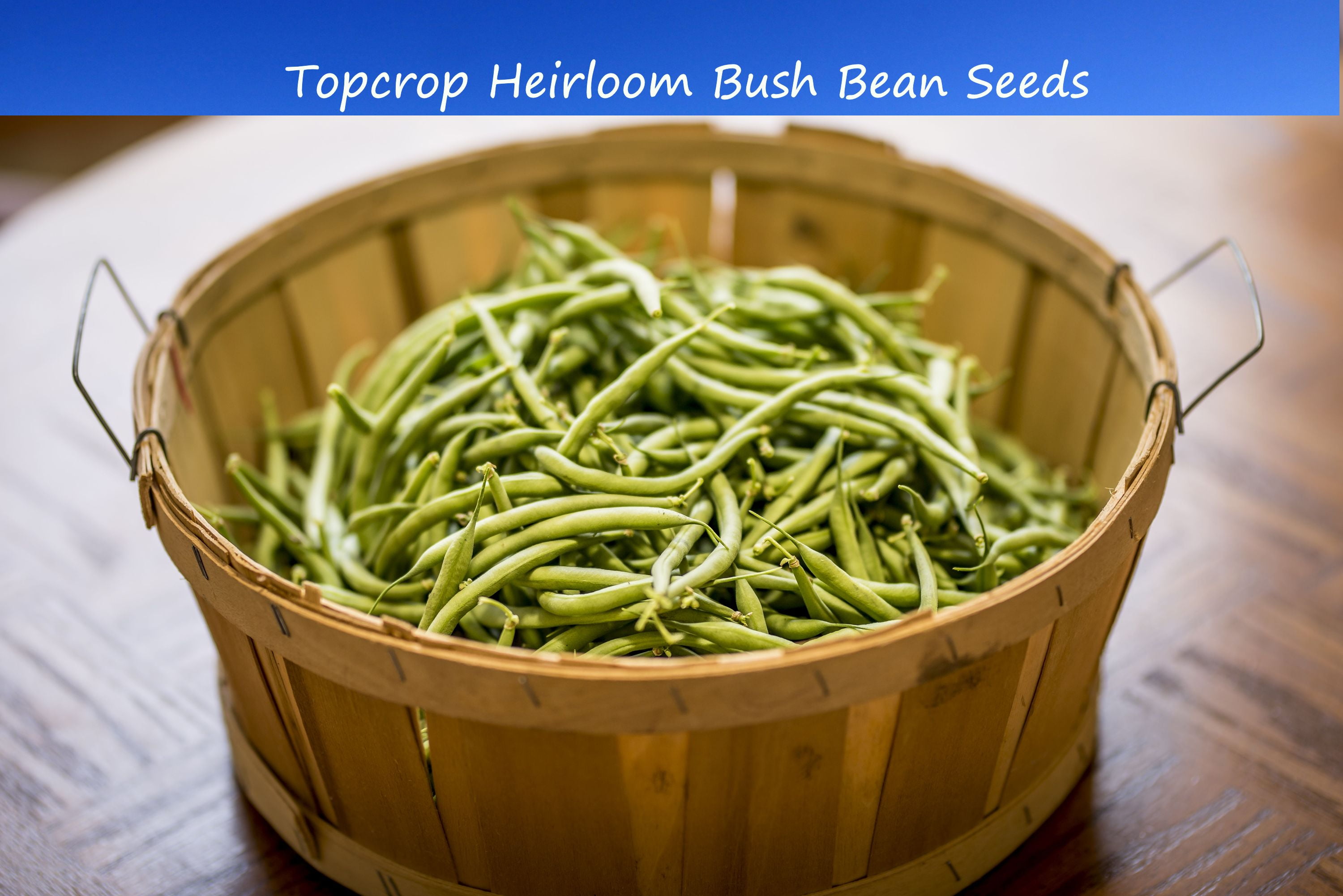 Bean Seeds-Topcrop Bush Bean -100 seed garden pack -Vegetable Seeds ...