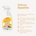 Hygea Natural Citrus Sparkle Cleaner and Degreaser Concentrate Heavy ...