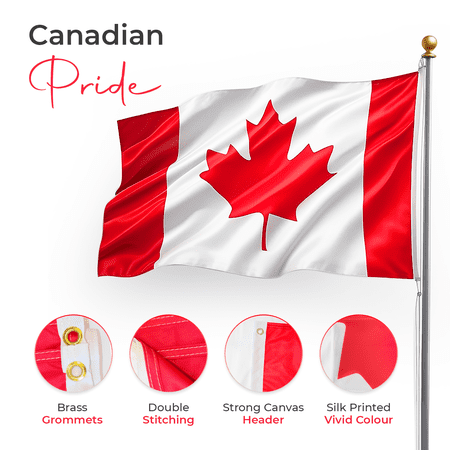 Canada Flag Polyester 9"x18" - Walmart.ca