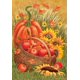 Pumpkin & Apples Autumn Garden Flag Sunflowers Fall 12.5" x 18 ...