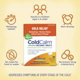 Boiron ColdCalm Tablet Relief of Common Cold Symptoms Sneezing, Runny ...
