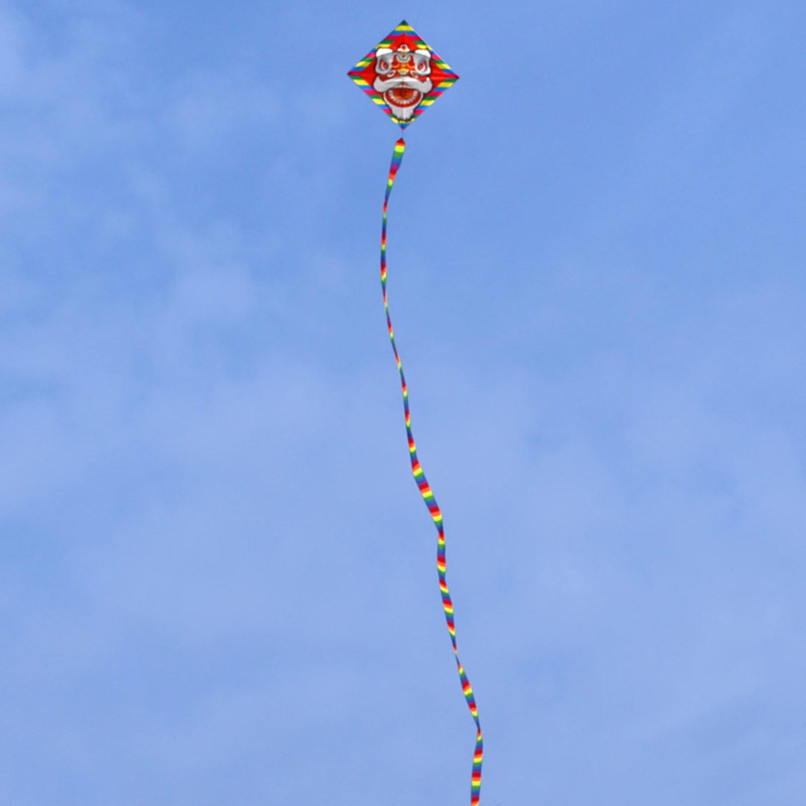 Cometas ños fáciles de volar para adultos, cometas gigantes para jugar ...