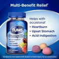 Tums Gummy Bites Dietary Supplement for Occasional Heartburn Relief ...