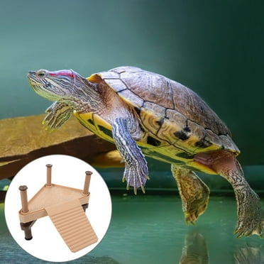 4 Pcs Mini Portable Fish Tank Reptile Aquarium Small Plastic Container ...