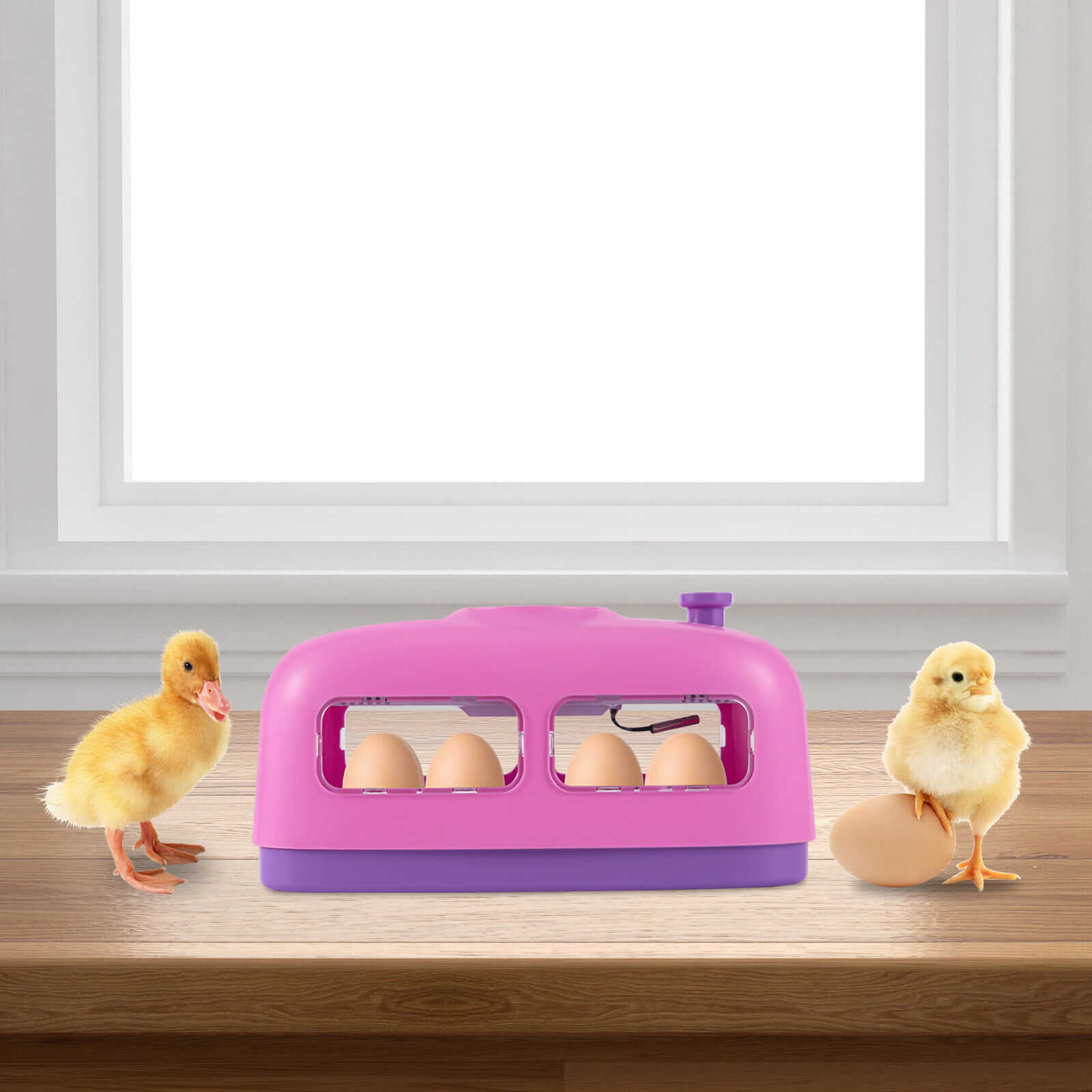 Miumaeov Electric Egg Incubator Automatic Digital Poultry Hatching ...