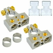 Dual Terminal Battery