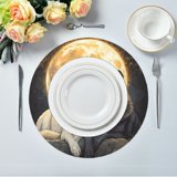 WOBOGO Cozy Two Wolves Round Placemats Set of 1 Heat Resistant Washable ...
