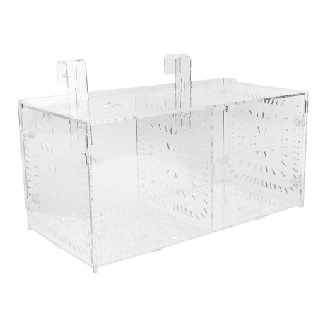 Transparent Fish Breeding Box, Fish Incubation Box, Seedlings ...