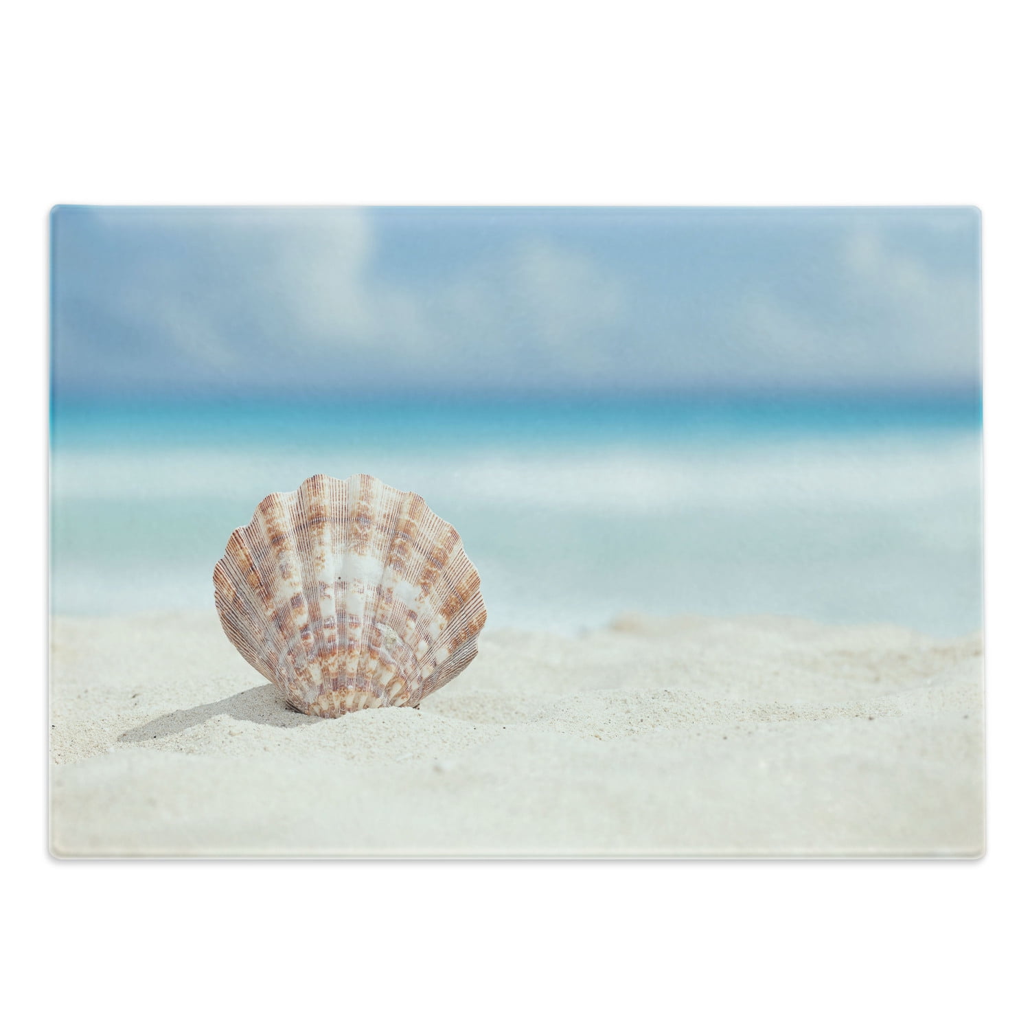 Scallop Cutting Board, Photo of a Single Sea Shell on a Sunny Tropical ...