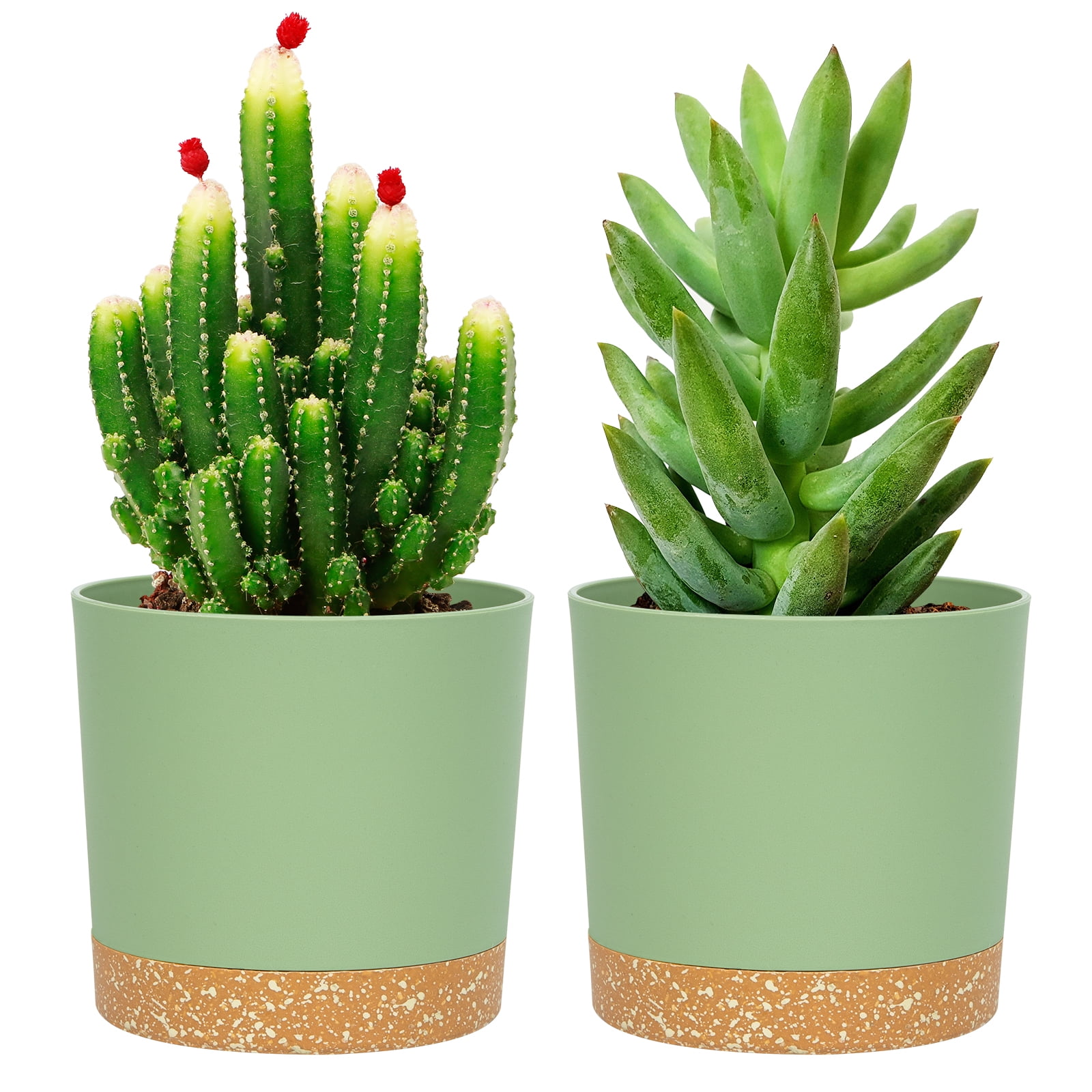 Click here for Qcqhdu 2 Pack Plant Pot  Green Plastic Indoor Plan... prices