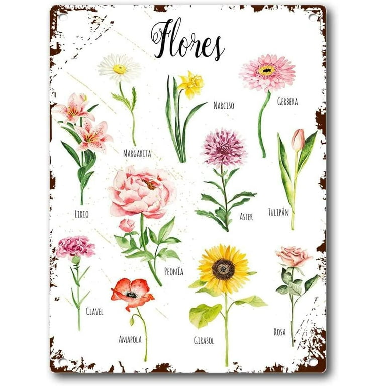 Spanish Flower Names