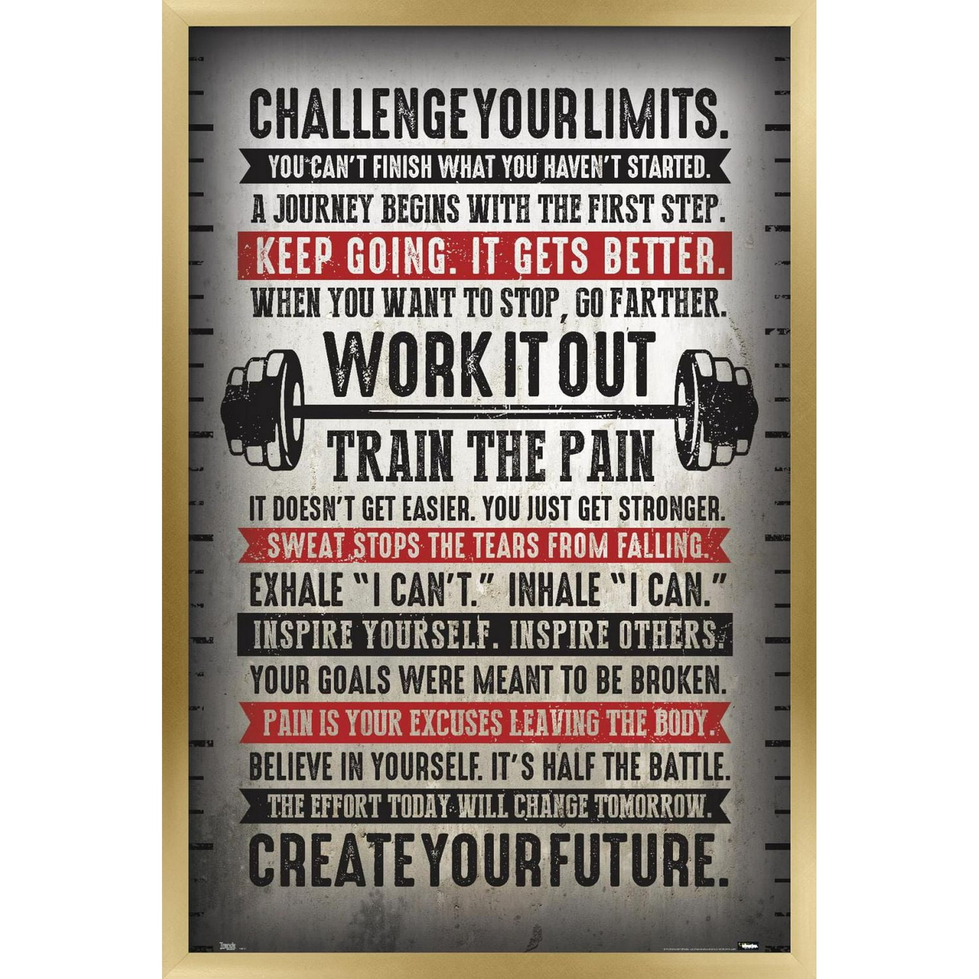 Click here for Trends International Challenge Your Limits Wall Po... prices