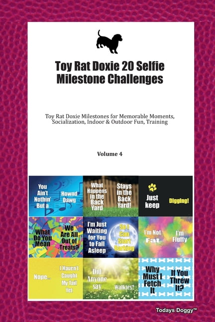 Toy Rat Doxie 20 Selfie Milestone Challenges : Toy Rat Doxie Milestones ...