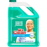 Cleaning Supplies - Walmart.com