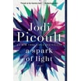 Spark of Light: A Novel - Walmart.com