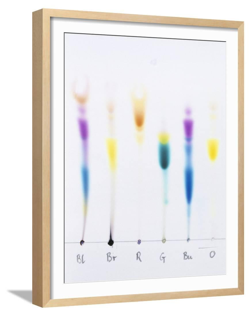 Paper Chromatography, Framed Art Print Wall Art by Andrew Lambert Sold ...