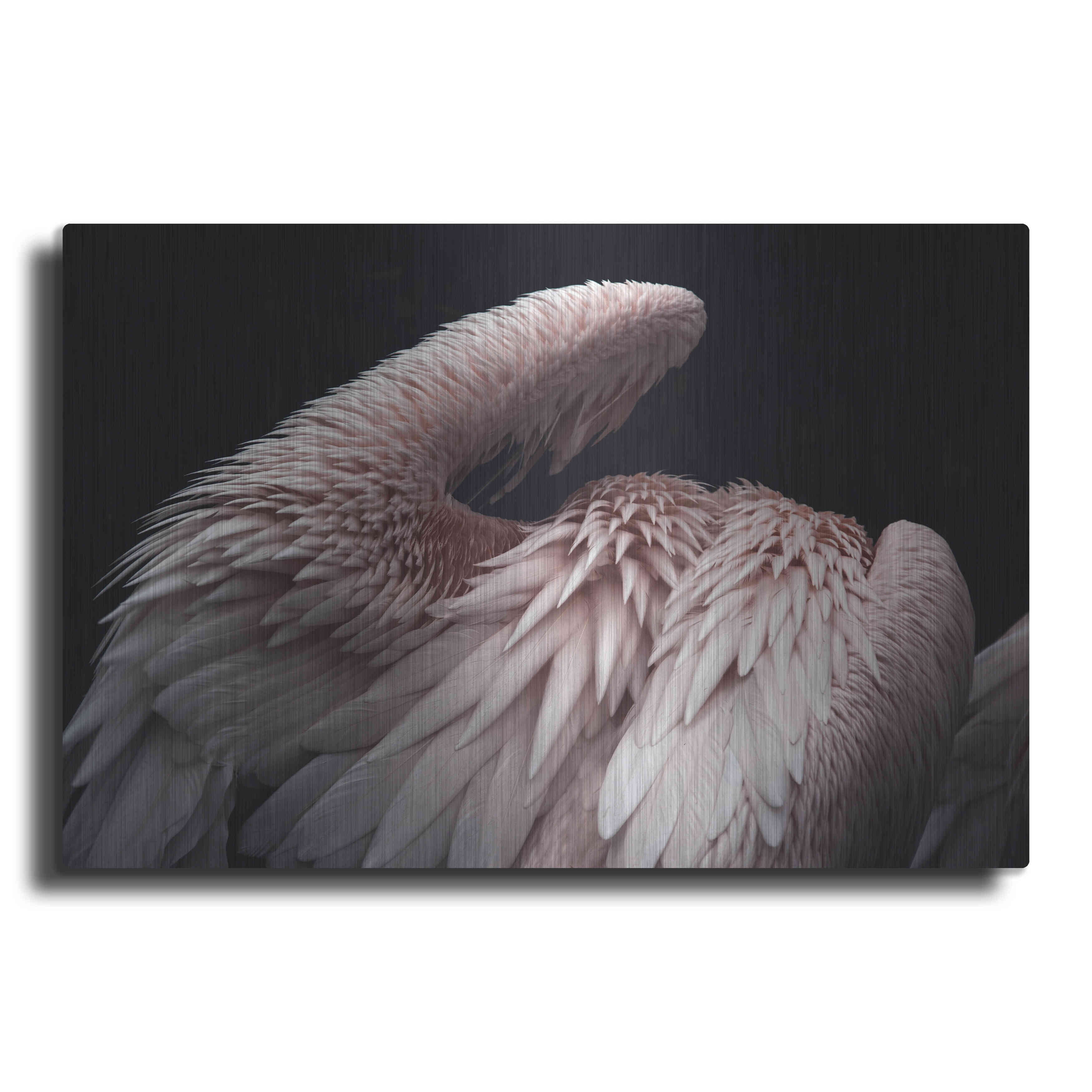 Luxe Metal Art 'Flamboyance 2' by Design Fabrikken, Metal Wall Art, 36 ...