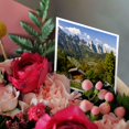 3drose, Villages Sarasin and Pongan, Dolomites, Italy ., 6 Greeting ...