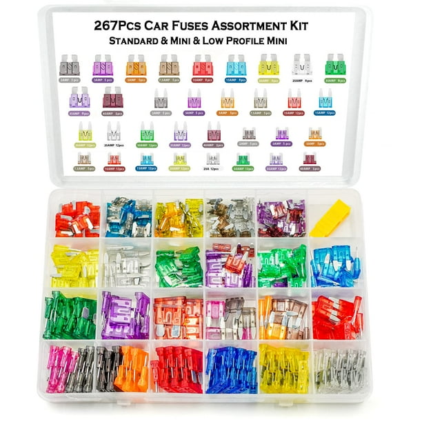 TOMORAL 267Pcs Low Profile Mini Fuses with Standard Fuse & Mini Fuse ...