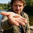 Attractants For Freshwater Saltwater Trout Panfish Crankbait ...