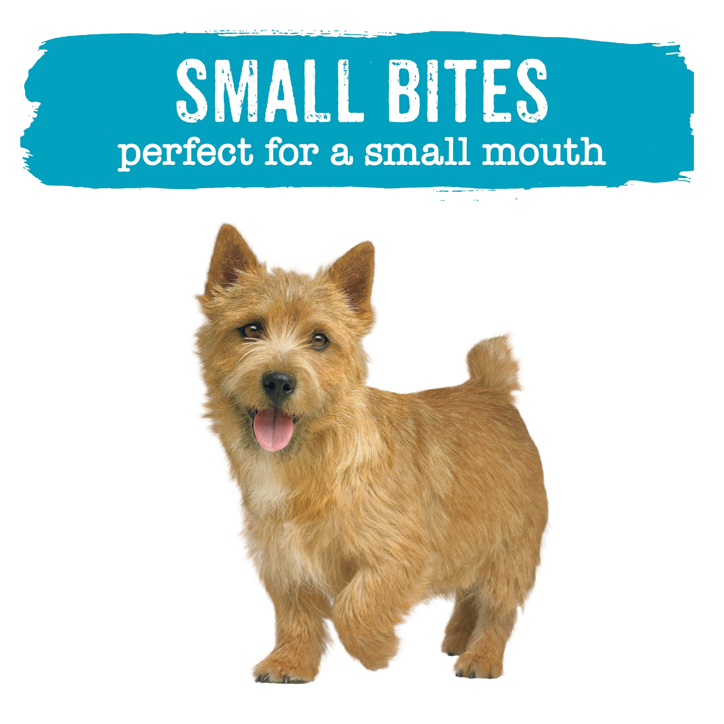 What Breed Is The Beneful Dog In Commercial