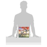 Zen Ghosts (a Stillwater and Friends Book) (Hardcover) - Walmart.com