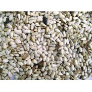 Pennington Seed Wild Bird Ration, 20lb - Walmart.com