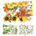 Keyohome Real Pressed Dried Flowers Set, 104/96/94Pcs, Multicolor, DIY ...