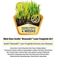Scotts Diseaseex Lawn Fungicide Fast Acting Grass Treatment Controls 26 Diseases 10 Lb