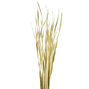 Vickerman 28" Red Splinter Grass, 11 oz Bundle, Dried - Walmart.com