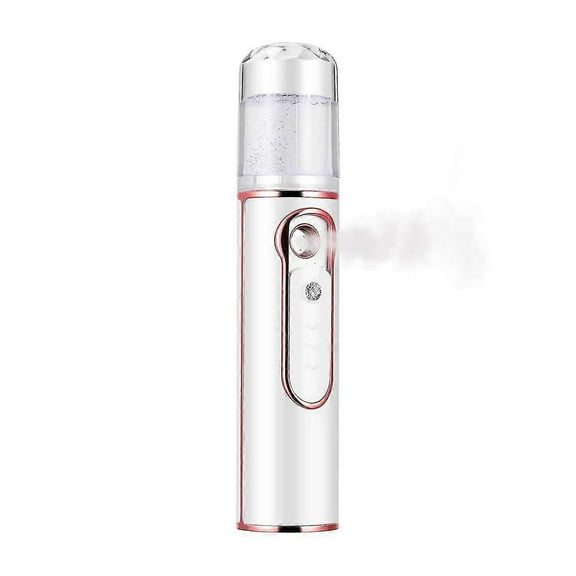 Spray Mini Portable Handheld Face Steamer, USB Rechargeable Battery ...