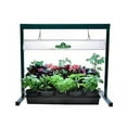 Hydrofarm JS10065 Jump Start 2-Feet Indoor Plant Grow Light Stand for ...