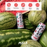 Mela Water Watermelon Juice Drink, Electrolytes, Antioxidants, Vitamin ...