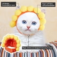 5 Pieces Cat Costume Halloween Bunny Hat Outfit with Ears Funny Cat Hat ...
