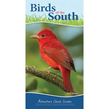 Bird Identification Guides Birds of Michigan Field Guide, (Paperback ...