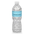 True Clear or Niagara Purified Bottled Drinking Water, 16.9 fl oz, 24 ...
