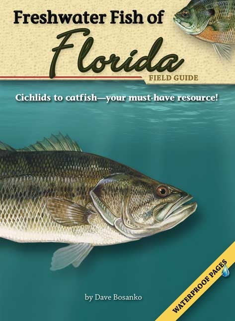 Freshwater Fish of Florida Field Guide - Walmart.com