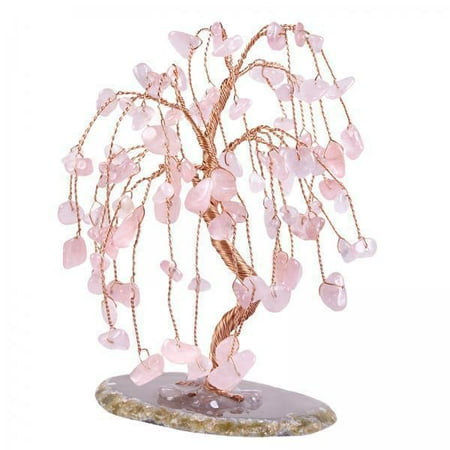 Lucky Tree,Lucky Tree Plant Indoor Outdoor Feng Shui Chinese,Citrine ...